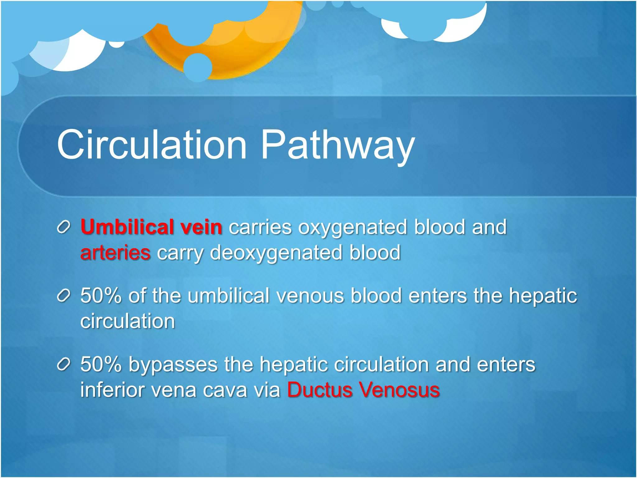 Fetal Circulationpptx