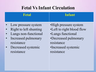 fetal circulation.pptx