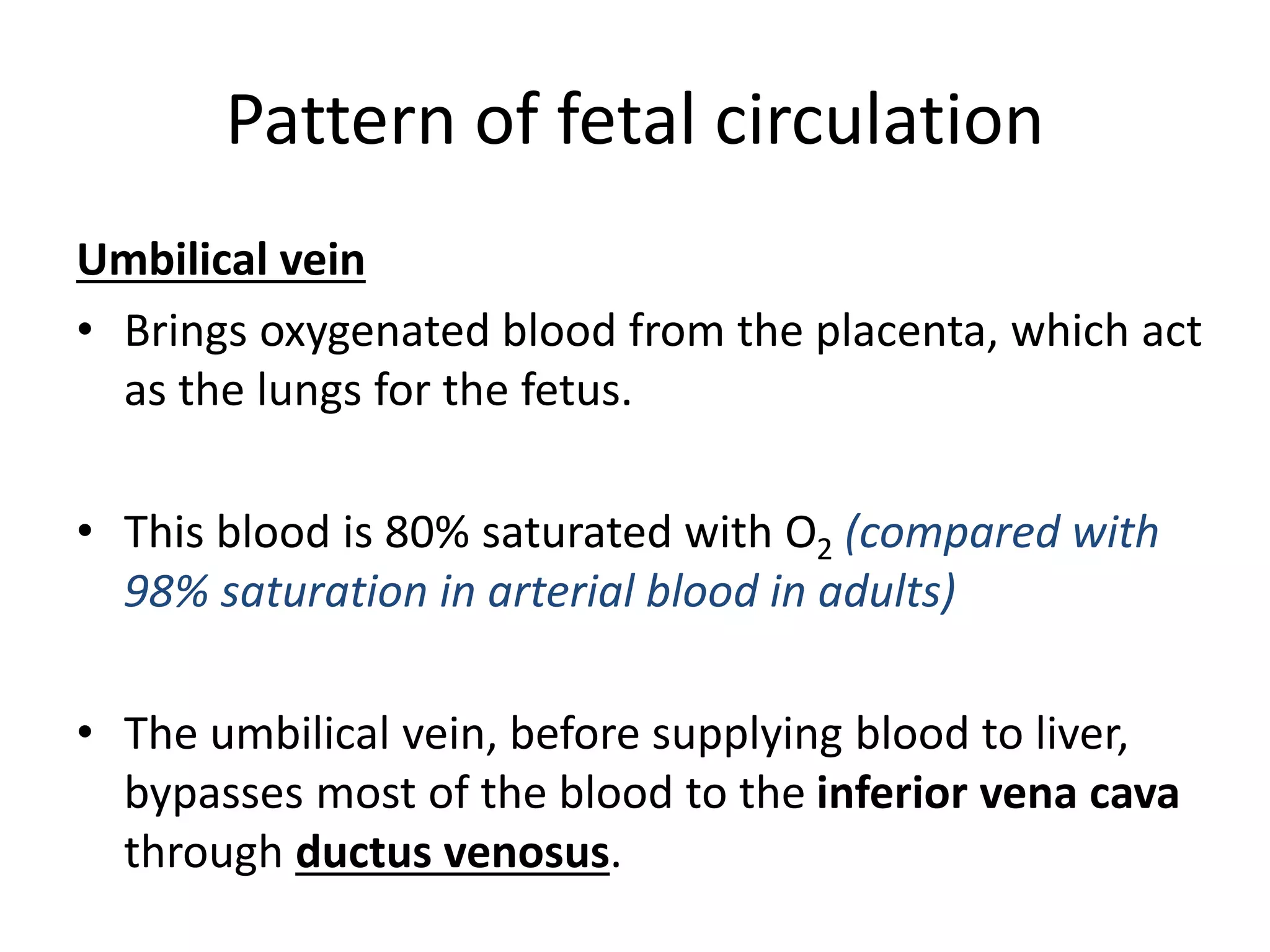 fetal circulation.pptx