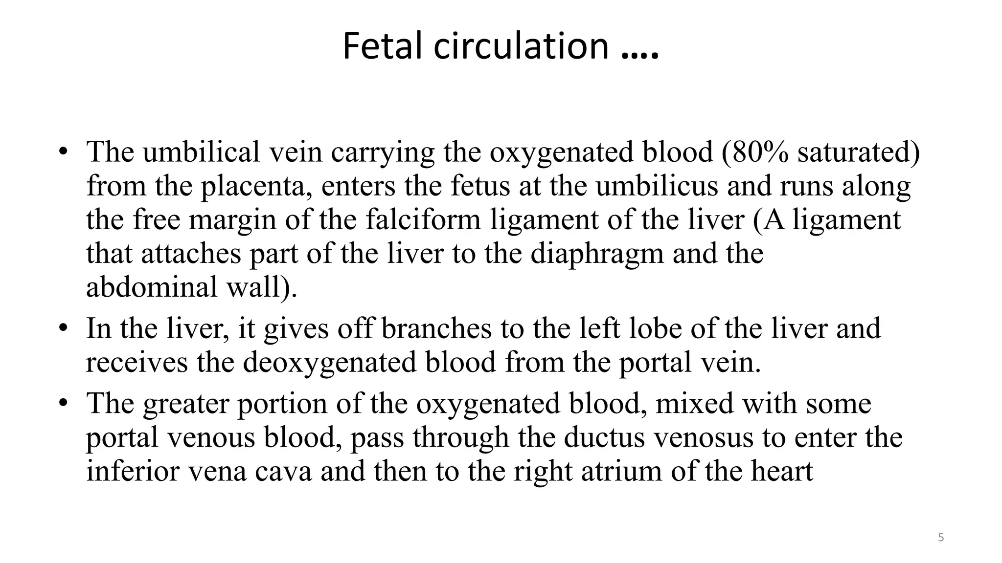Fetal Circulationpdf