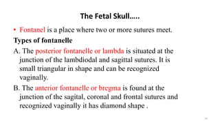 fetal circulation.pdf
