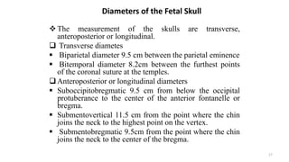 fetal circulation.pdf