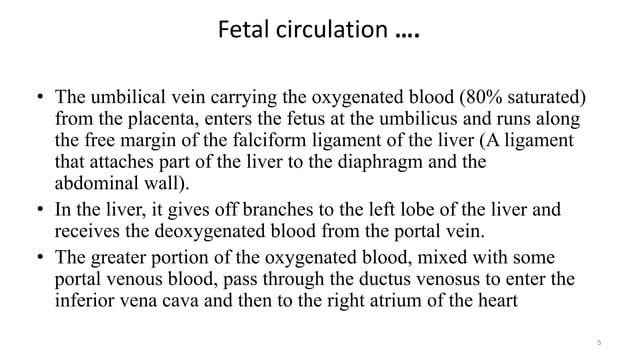 fetal circulation.pdf
