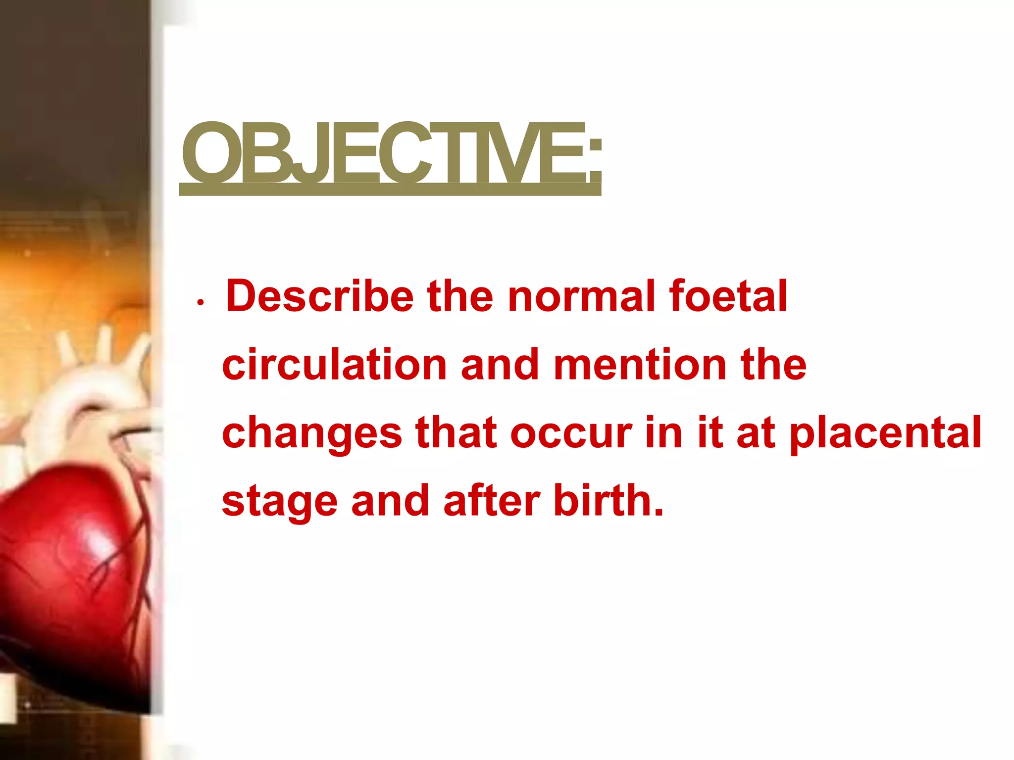fetal circulation.pptx