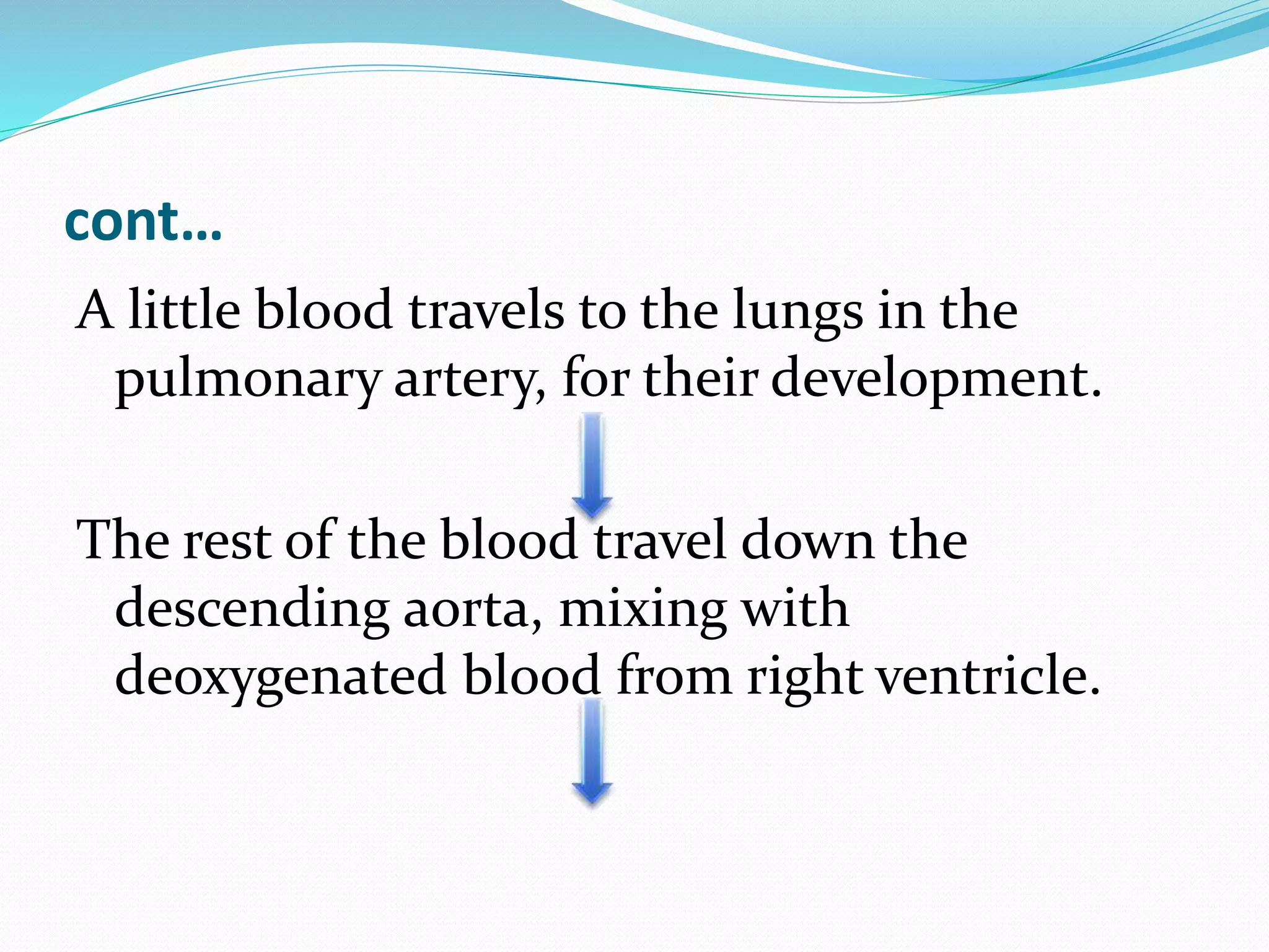 Fetal Circulation Pptx