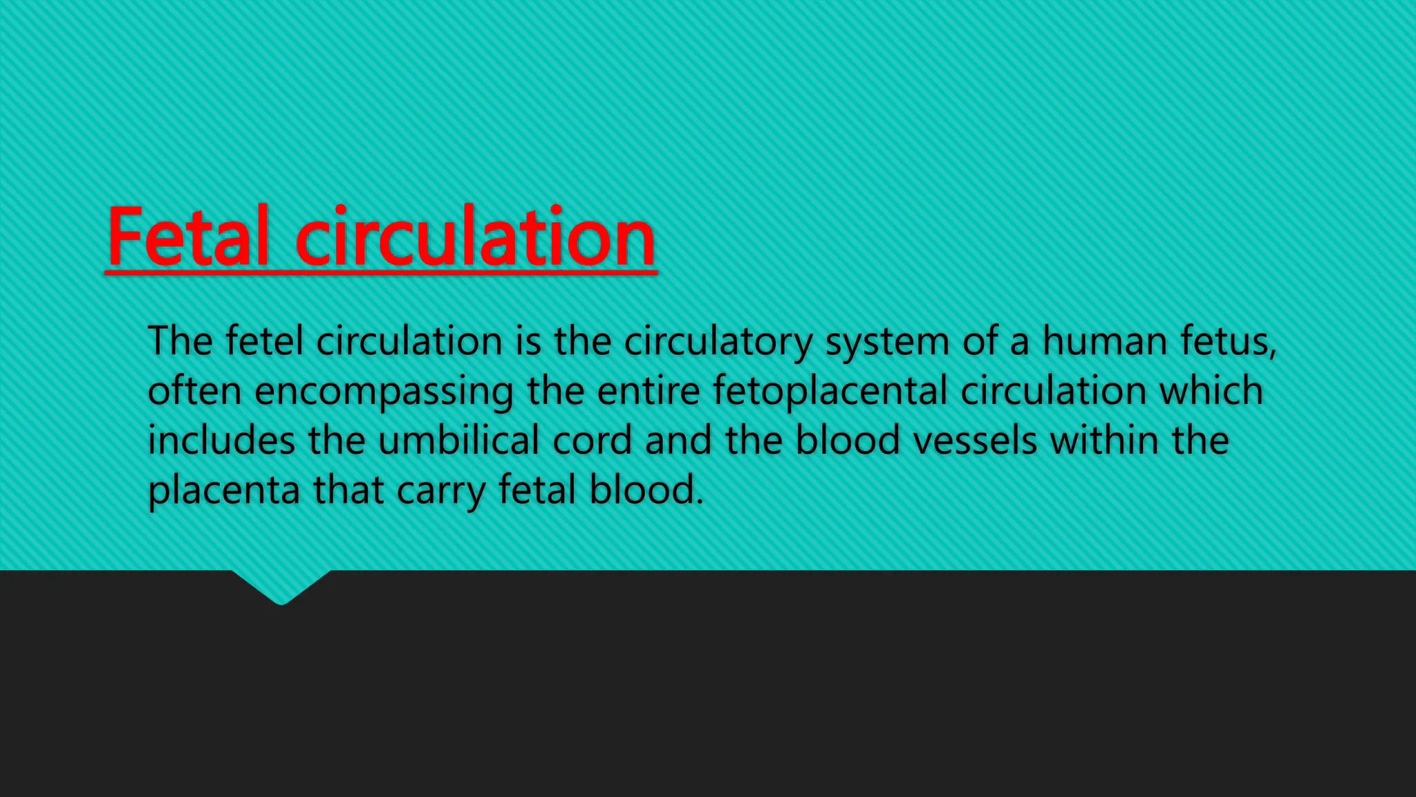 fetal circulation.pptx