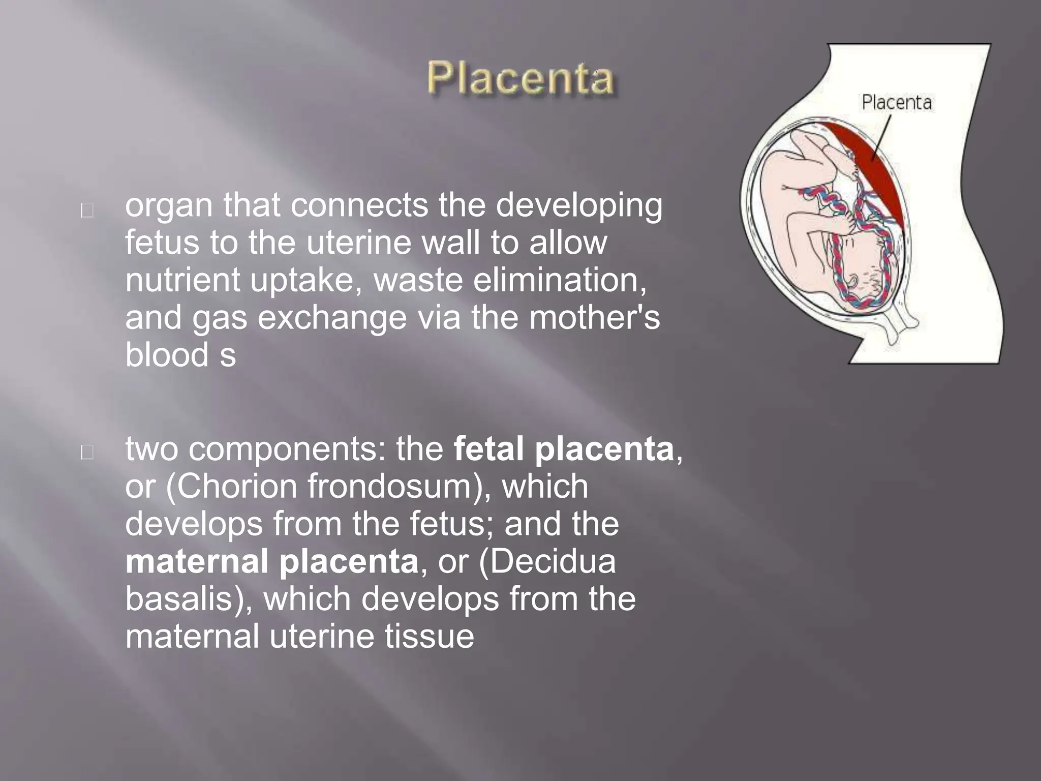 Fetal circulation.pptx
