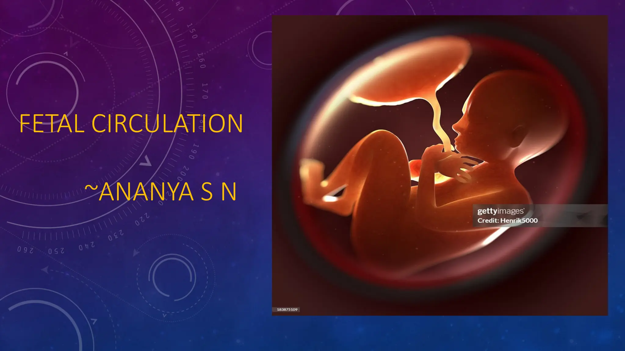 Fetal circulation embryology 1st year mbbs.pptx