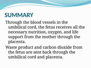 Fetal Circulation of a newborn baby explained | PPTX