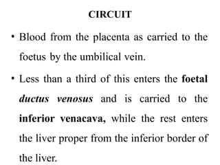 Fetal circulation.pptx fetal circulation | PPTX