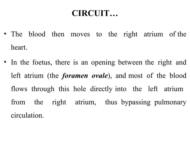 Fetal Circulation Pptx Fetal Circulation Pptx