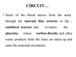 Fetal circulation.pptx fetal circulation | PPTX