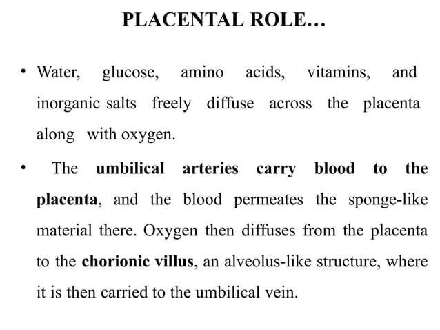 Fetal Circulation Pptx Fetal Circulation Pptx