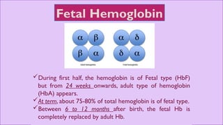 Intra-uterine fetal circulation in obstetrics | PPTX
