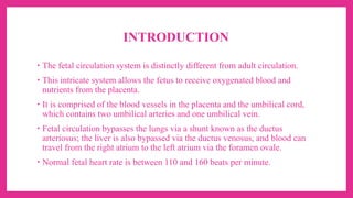 FETAL CIRCULATION embryology changes.pptx