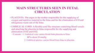 FETAL CIRCULATION embryology changes.pptx