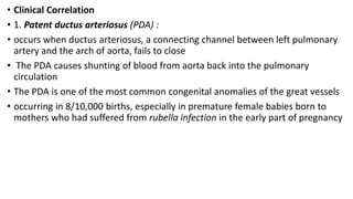 Fetal circulation - Copy.pptx