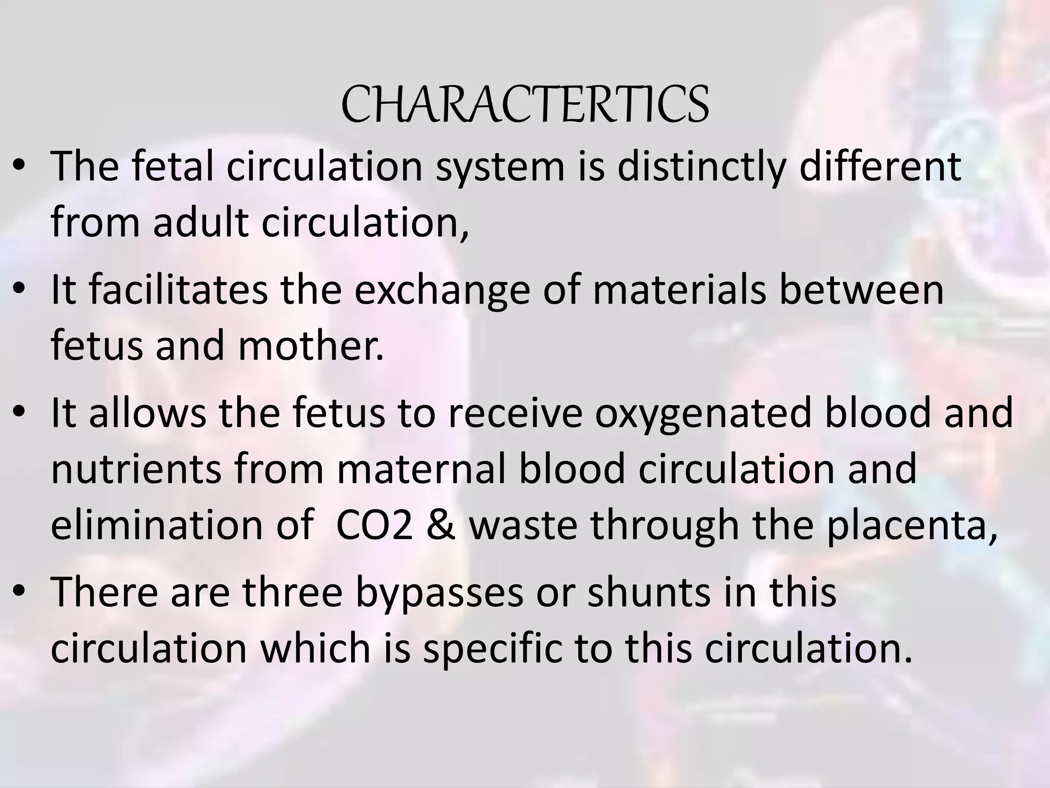 Fetal circulation sumi | PPTX