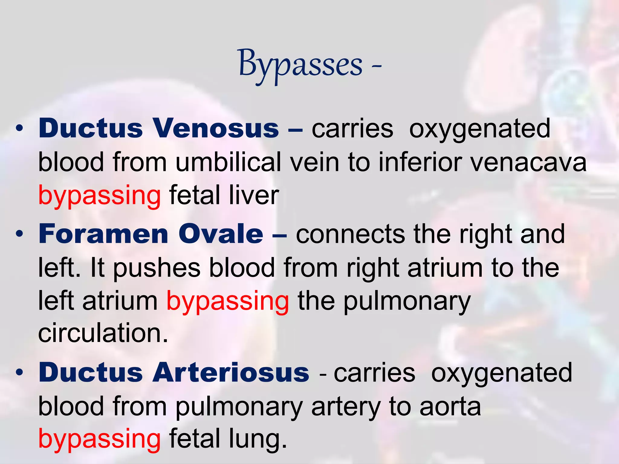 Fetal circulation sumi | PPTX
