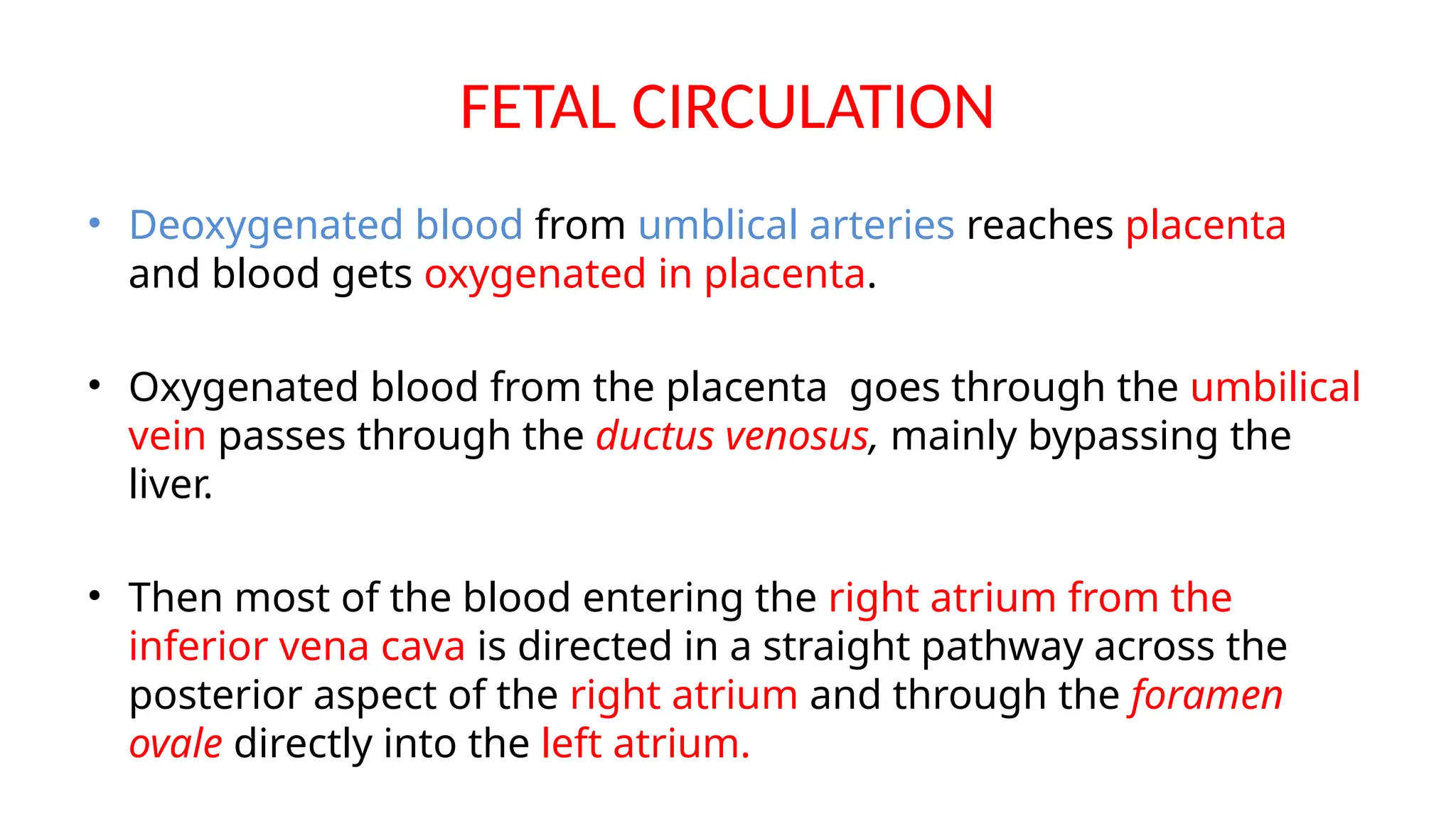 fetal circulation, fetal circulation basics | PPTX