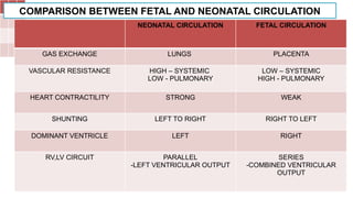 fetal circulation, fetal circulation basics | PPT