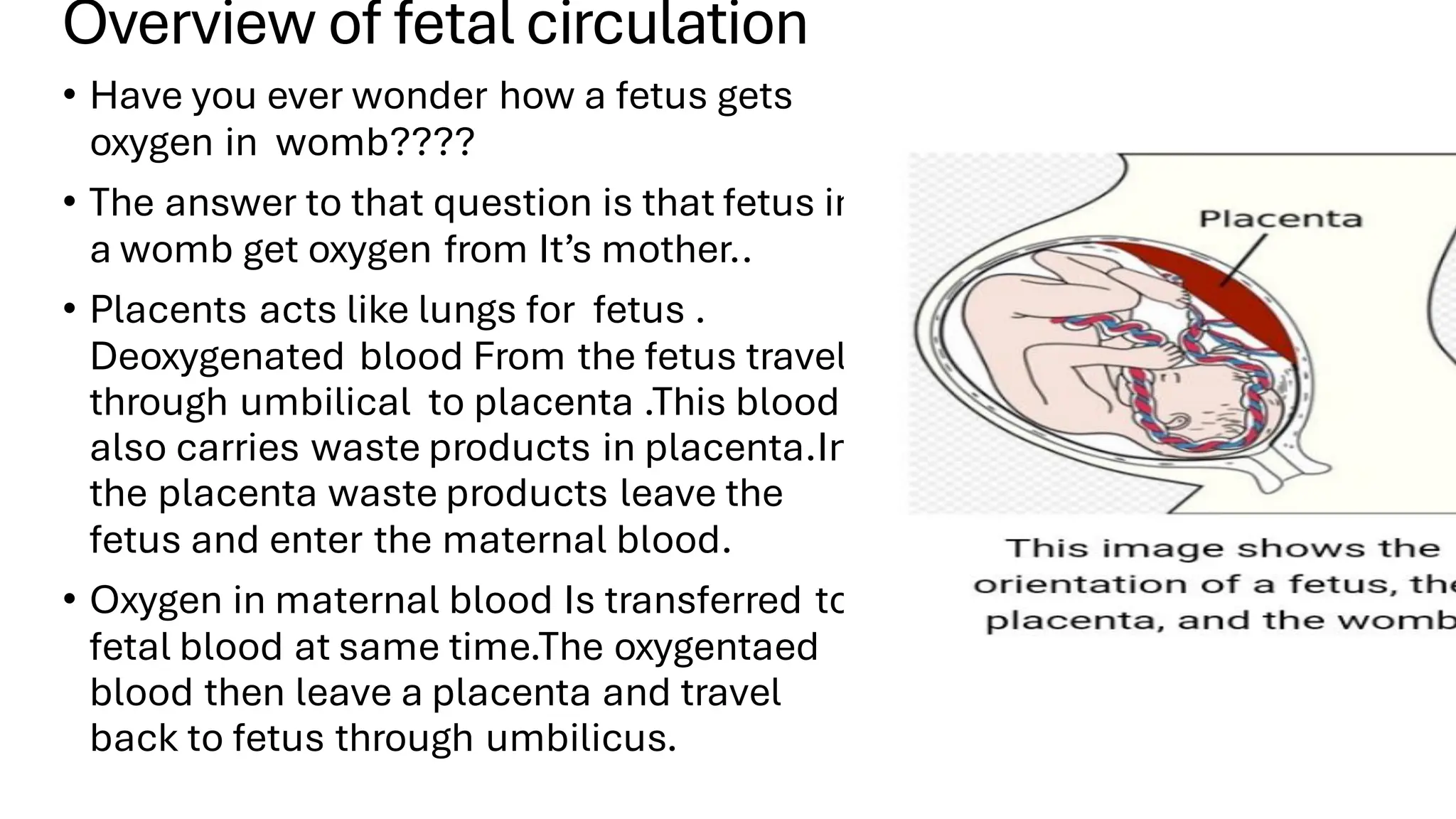 Fetal Circulation , explain in easy way | PPT
