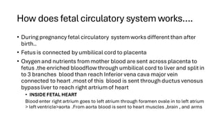 Fetal Circulation , explain in easy way | PDF