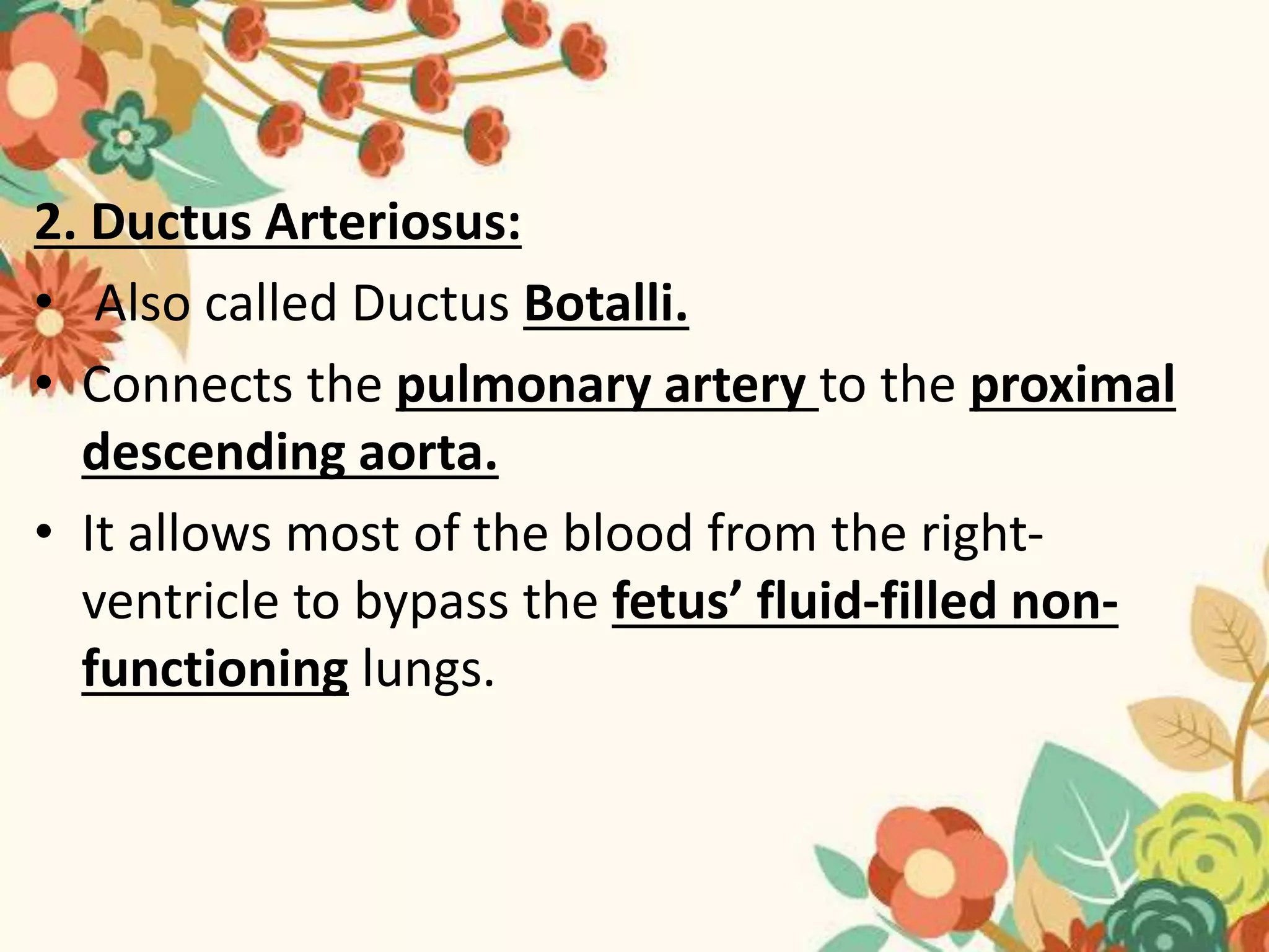 Fetal circulation (for mbbs) | PPTX