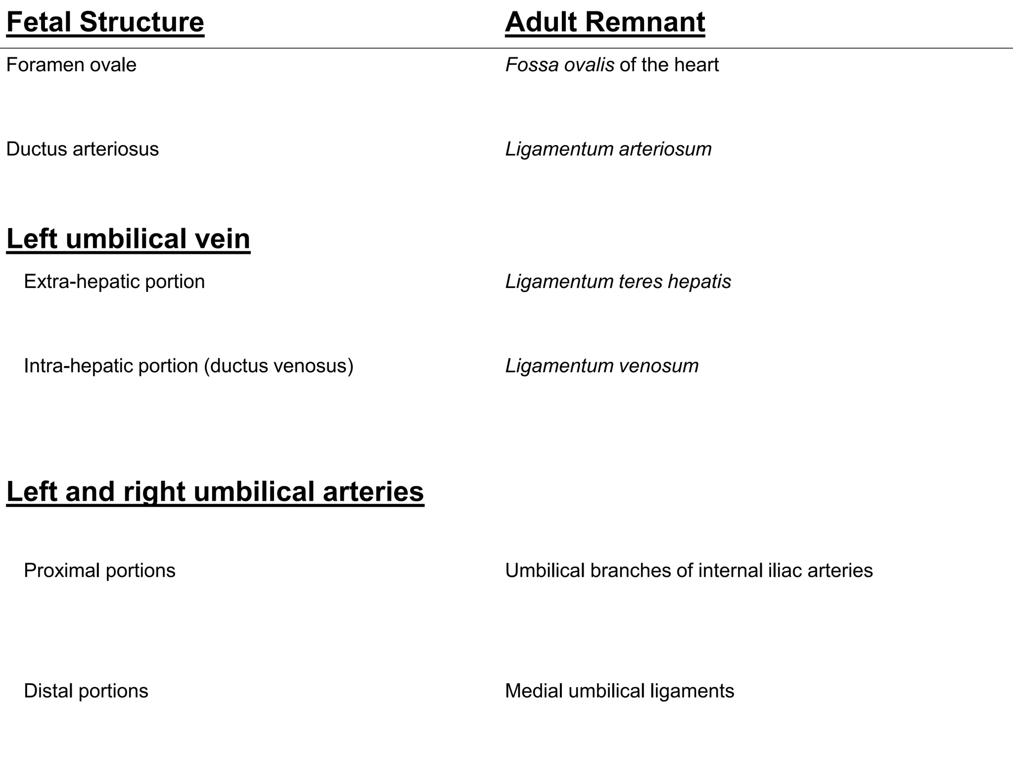 Fetal circulation (for mbbs) | PPTX