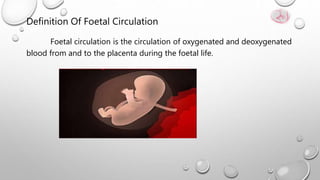 Fetalcirculationfornursingstudents. | PPTX