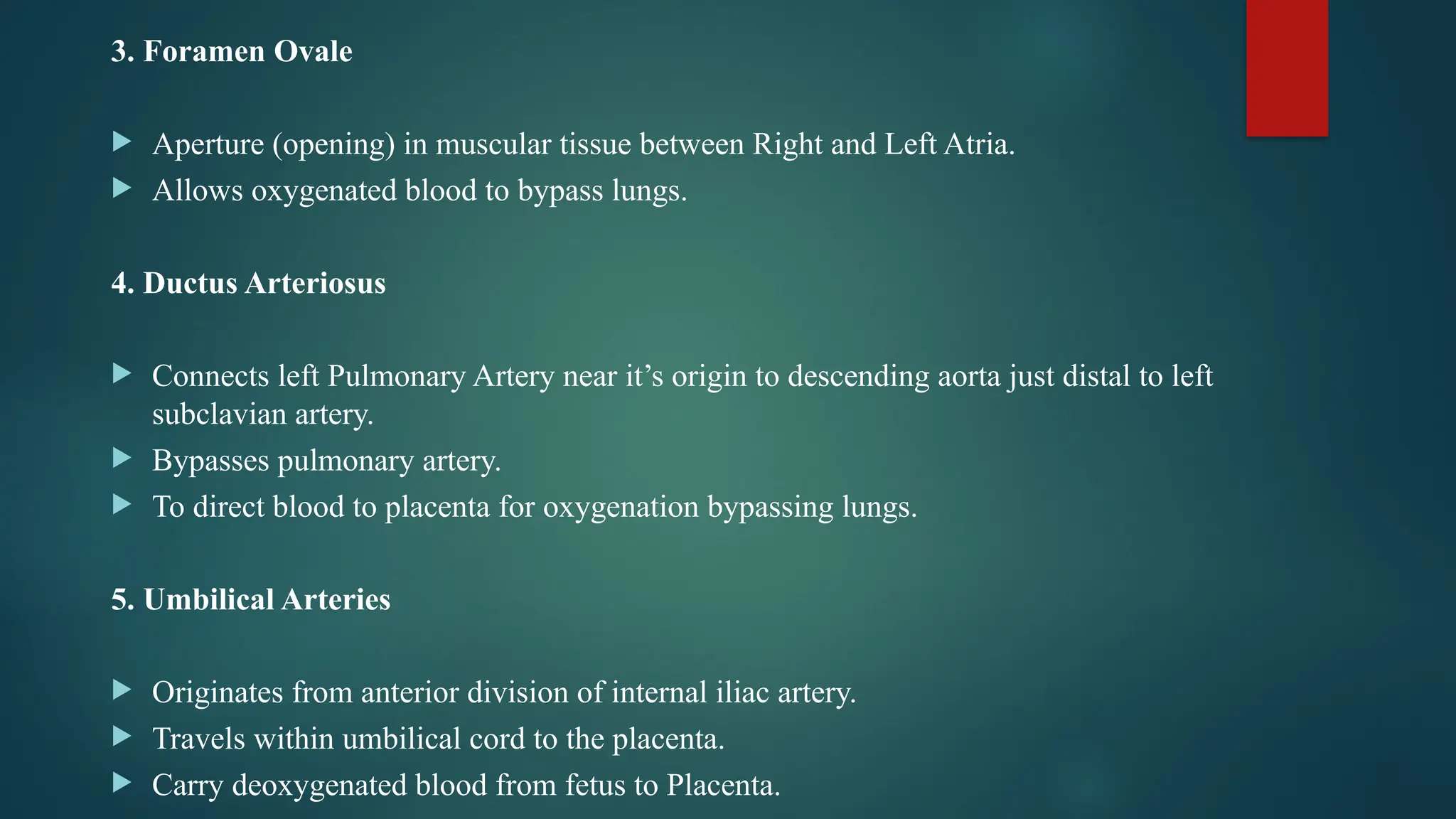 FETAL CIRCULATION AND IT'S FATE (Msc Echo 025).pptx