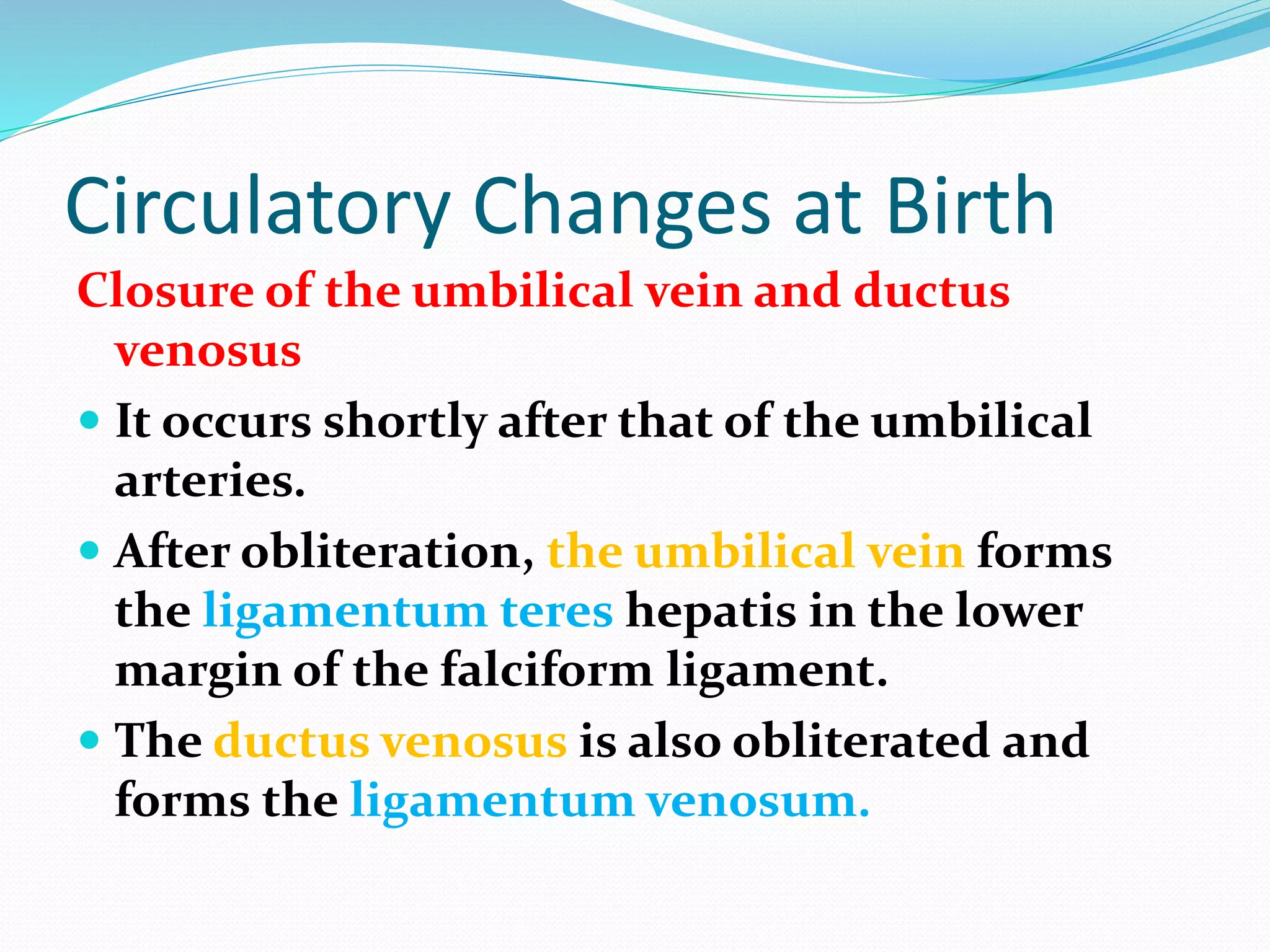Fetal Circulation Ppt For Nursing Students