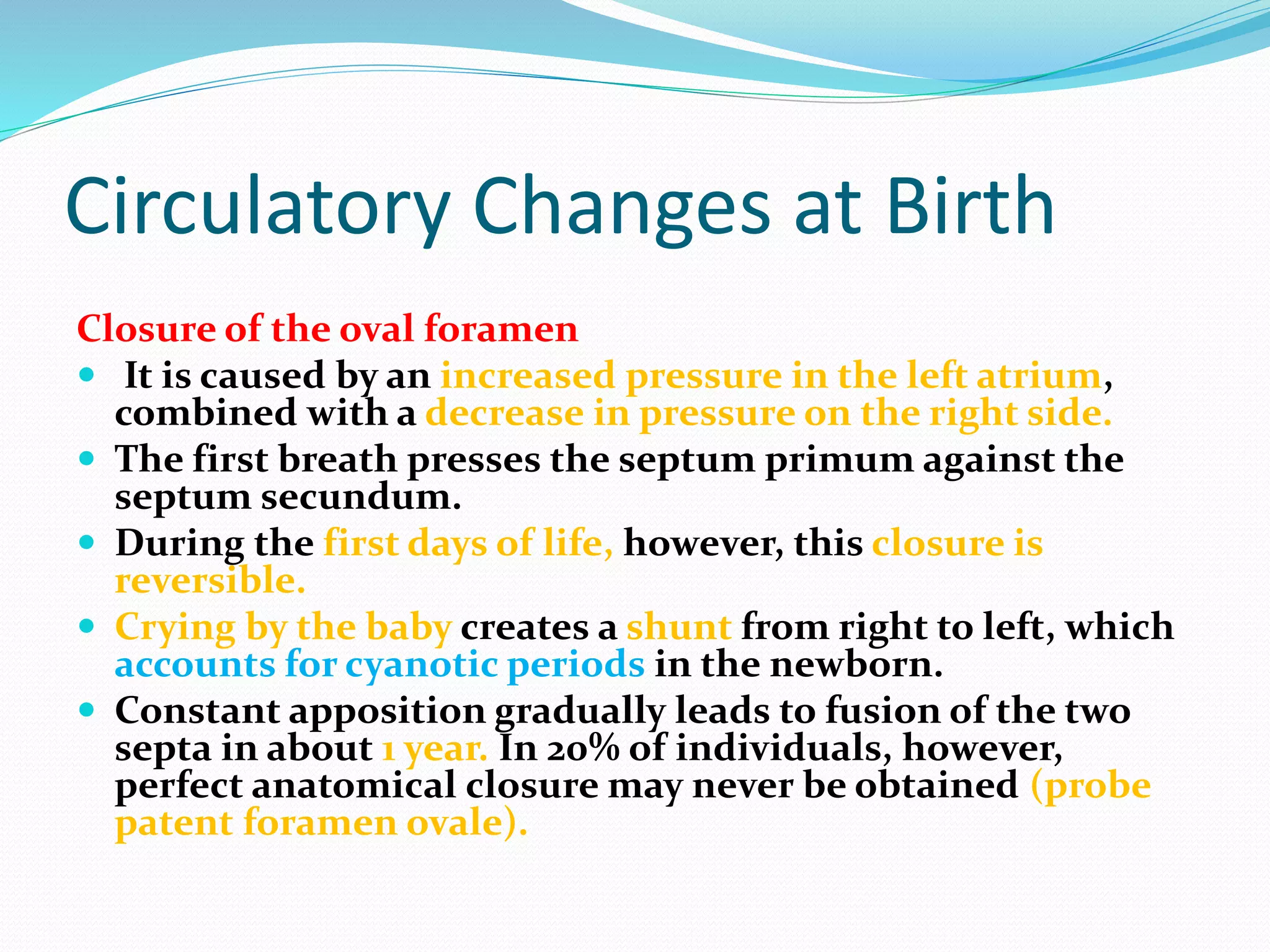 Fetal circulation nursing student_dey | PPTX