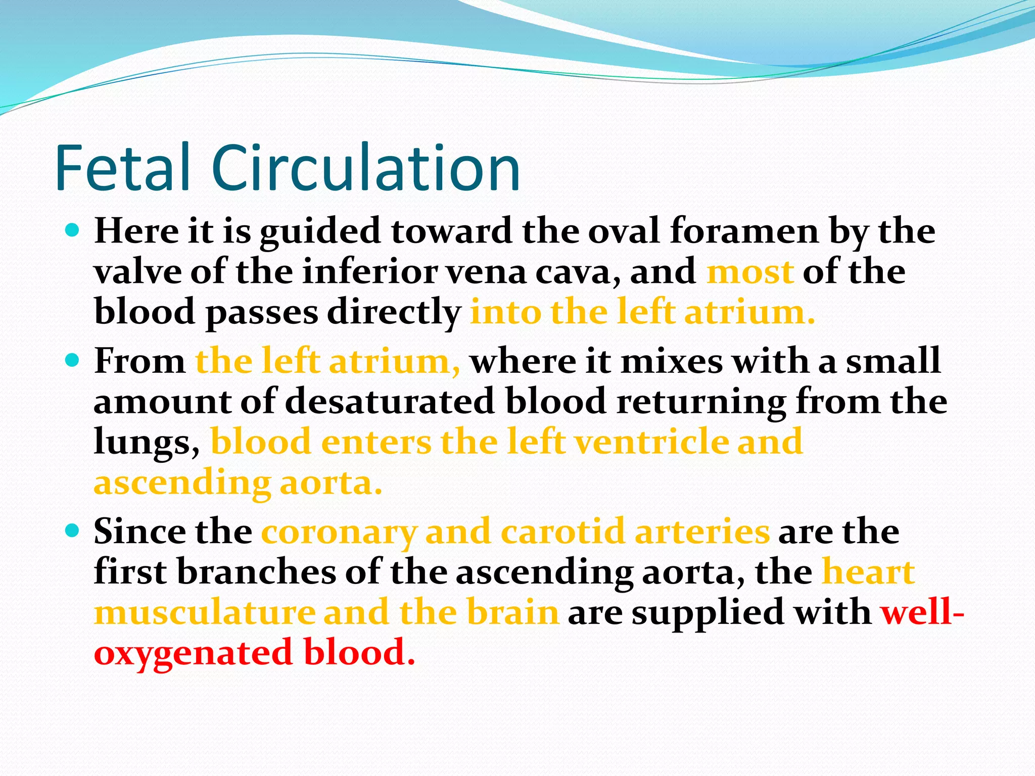 Fetal circulation nursing student_dey | PPTX