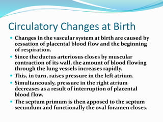 Fetal circulation nursing student_dey | PPTX