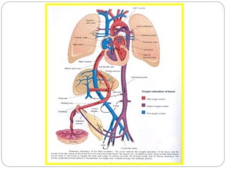 Fetal circulation nursing student_dey | PPTX