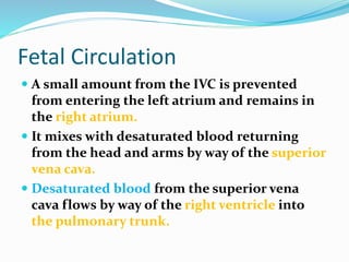Fetal circulation nursing student_dey | PPTX