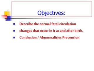Fetal Circulation Made Easy