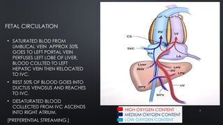 The Fetal. Circulation lectures .pptx
