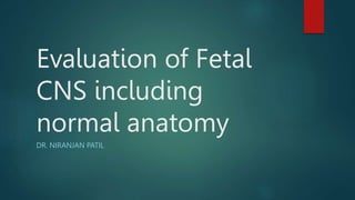 Fetal cns ppt.pptx