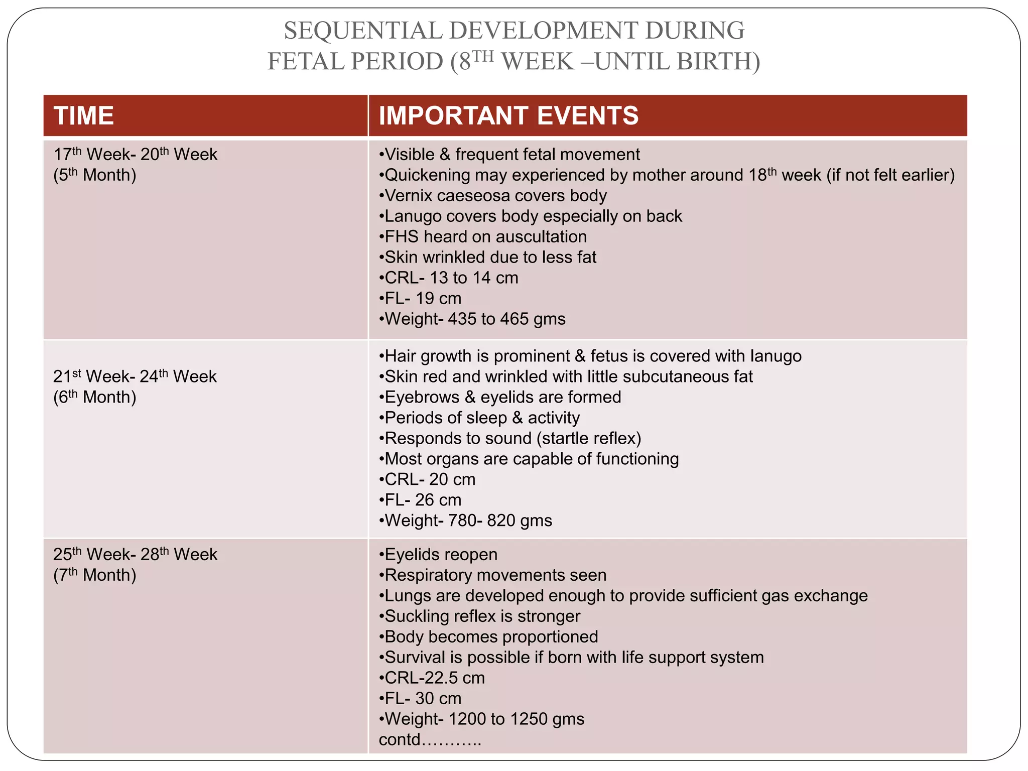 Fetal development | PPTX