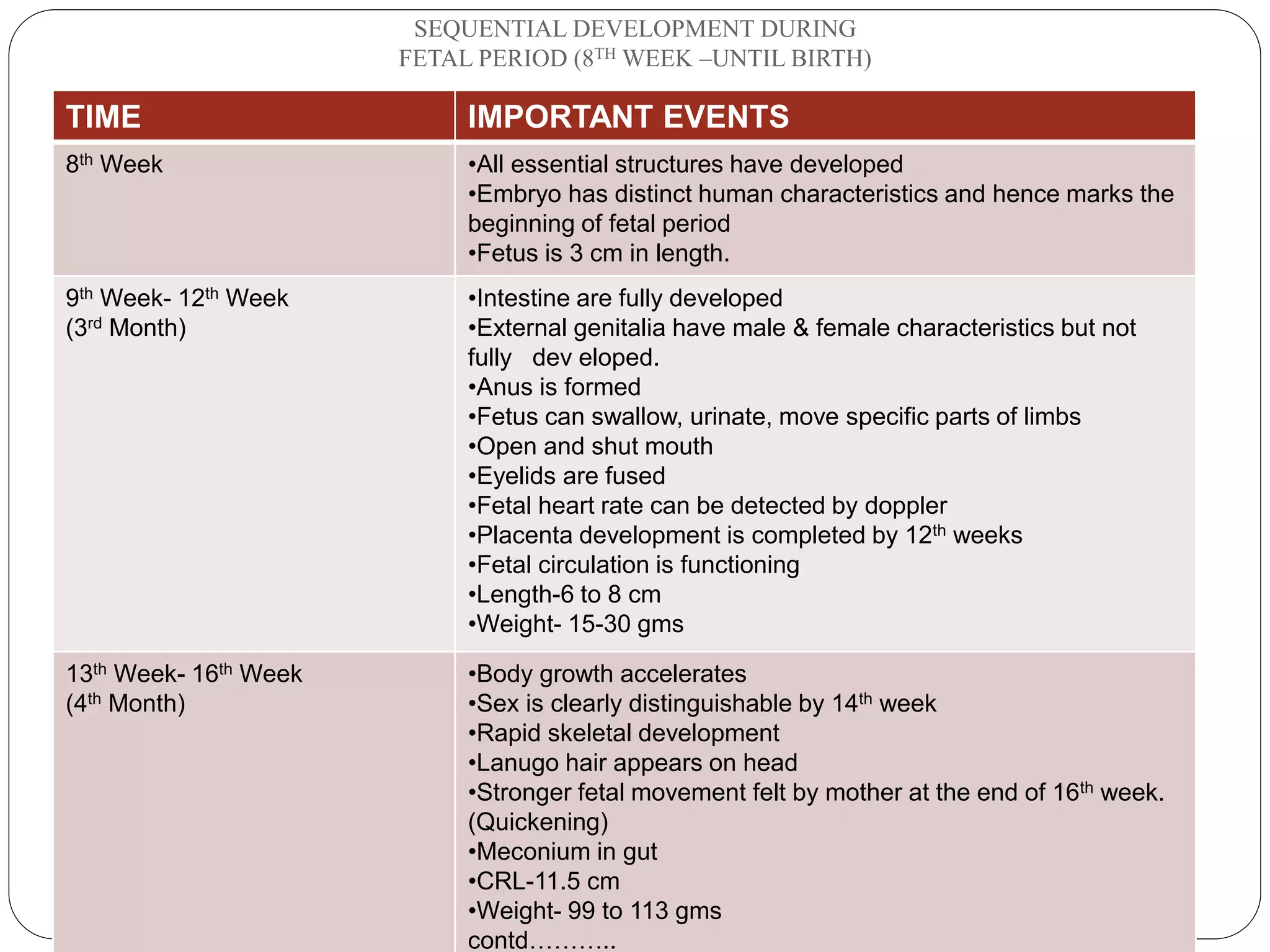 Fetal development | PPTX