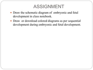 Fetal development | PPTX