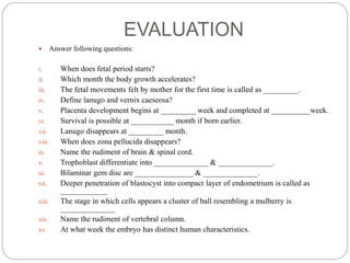 Fetal development | PPTX