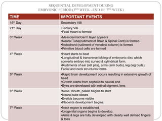 Fetal development | PPTX