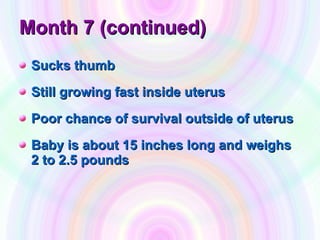 Fetal Development | PPT
