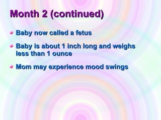 Fetal Development | PPT