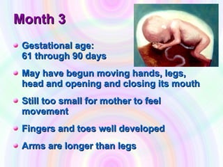 Fetal Development | PPT