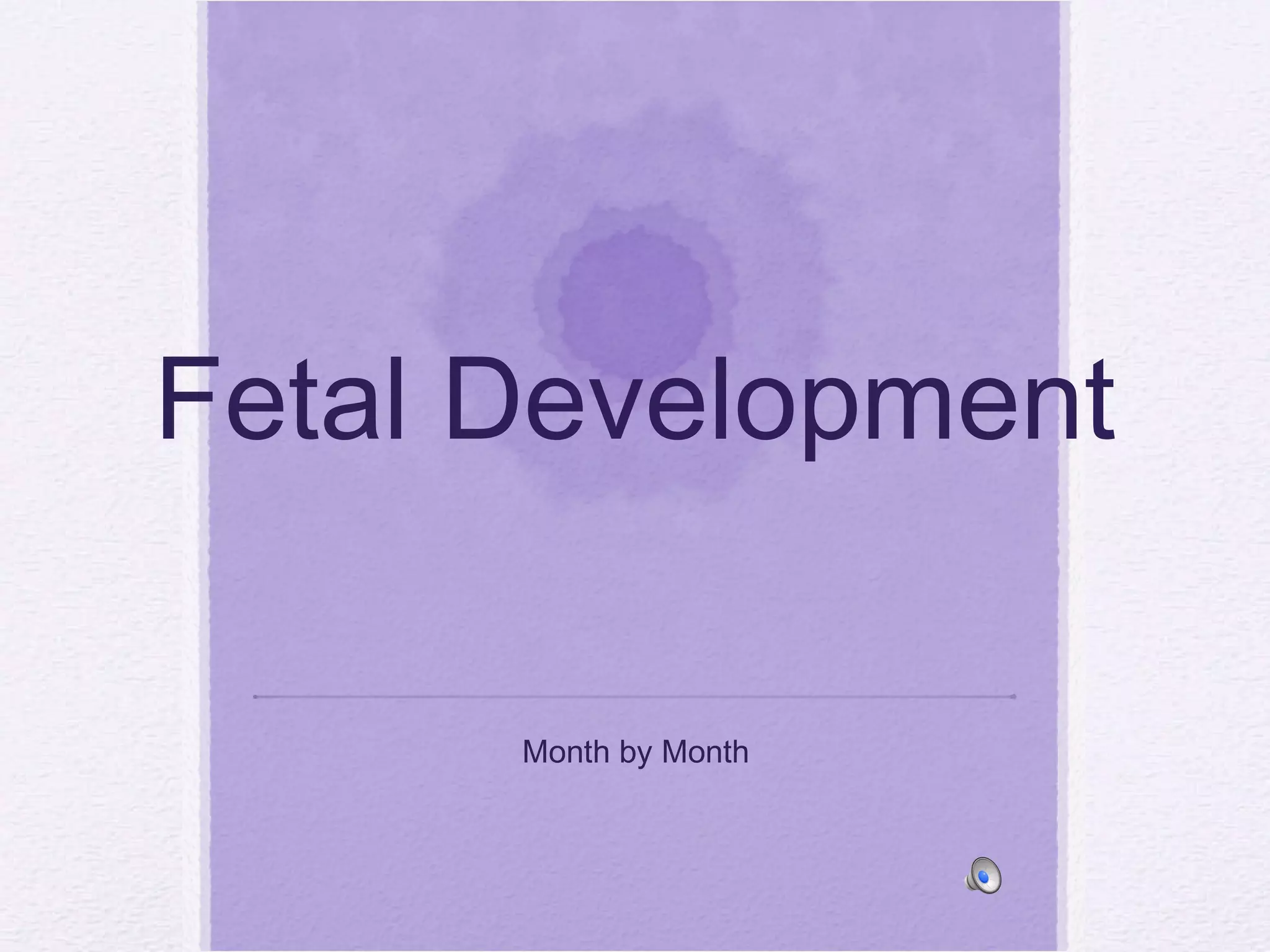 Fetal Development | PPT