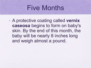 Fetal Development | PPT